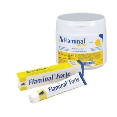 Flaminal Forte: Gel Impactante para Cicatrización de Heridas
